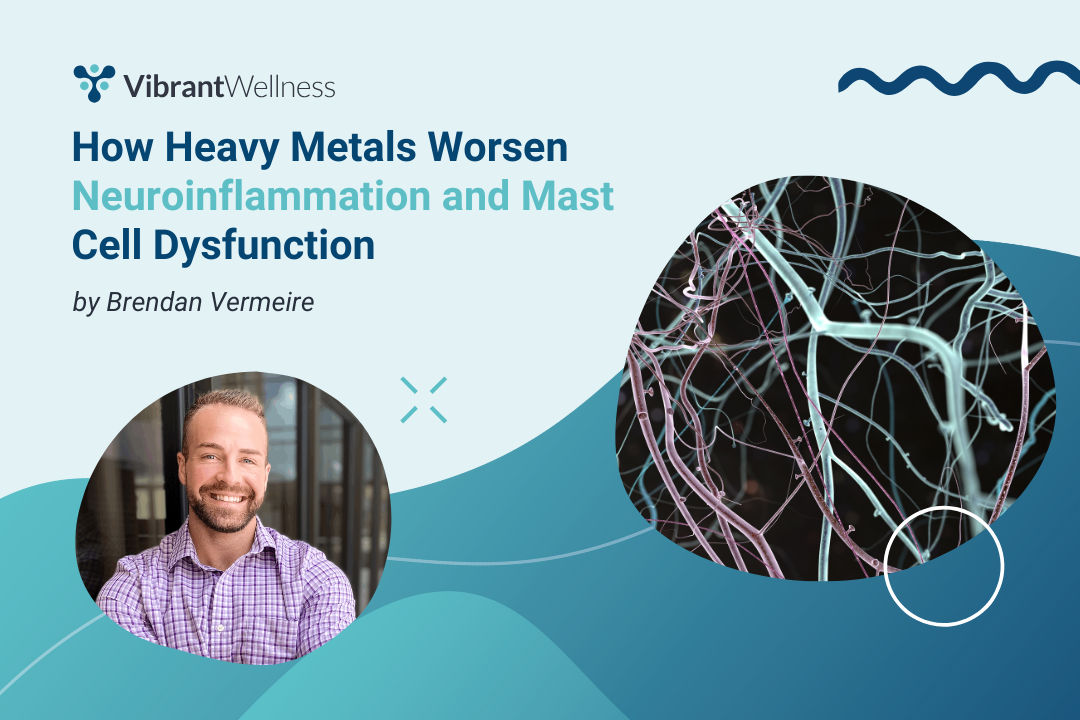 How Heavy Metals Worsen Neuroinflammation and Mast Cell Dysfunction
